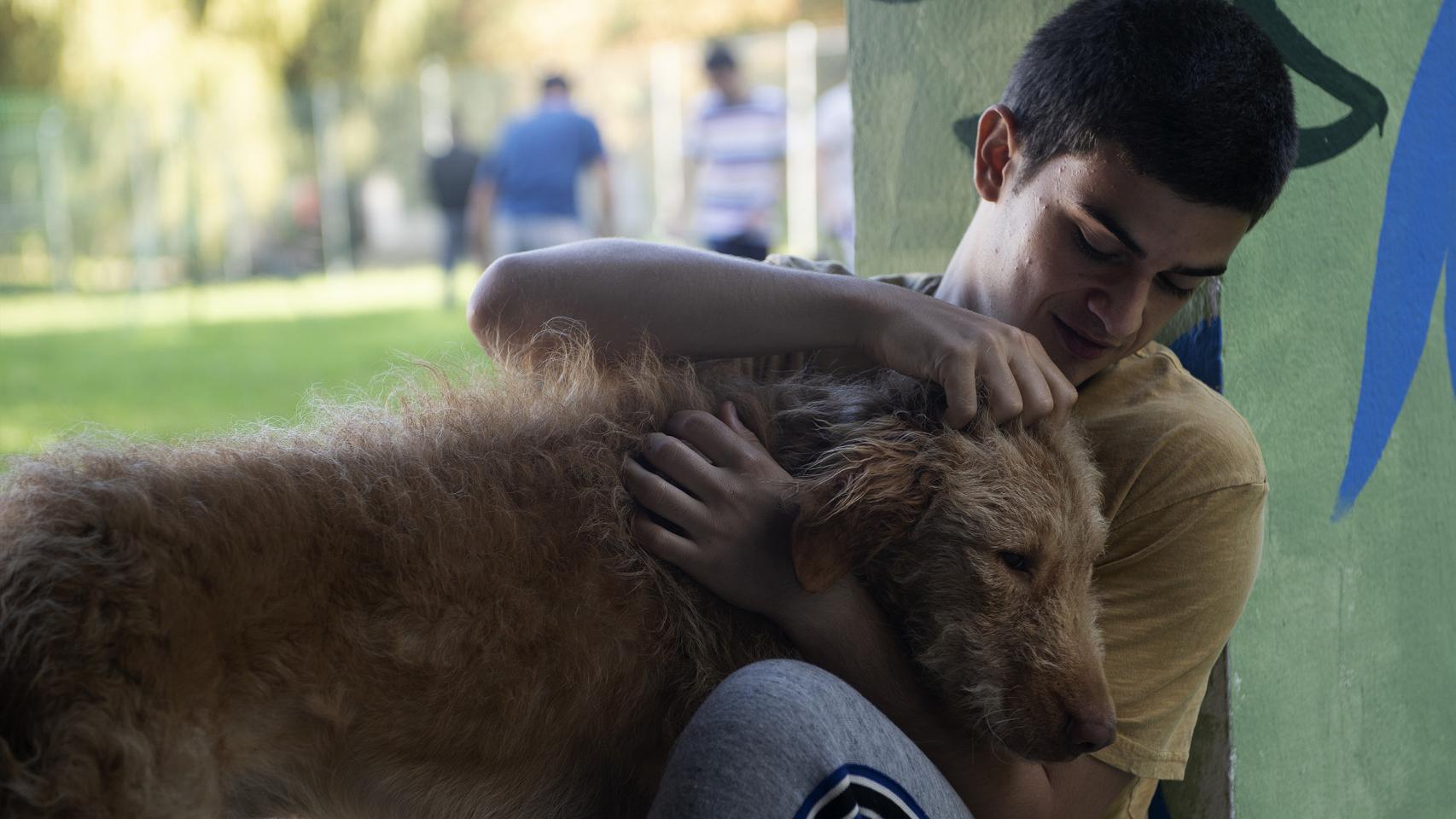 Un perro cojo, dos hermanos y una abuela moribunda: la sorpresa llegó ...