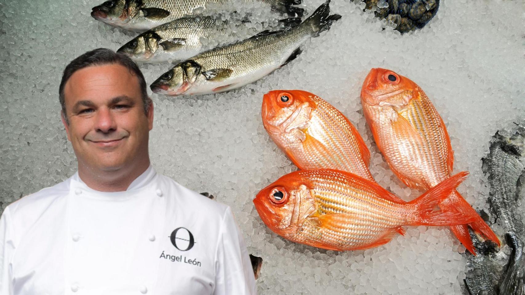 Ángel León (50), el "chef del mar", lo confirma: "Para saber si un ...