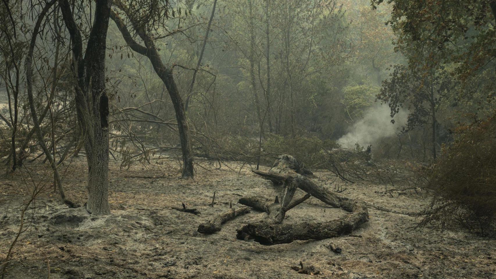 Los efectos de las tormentas tras los megaincendios: "Hacen que el ...