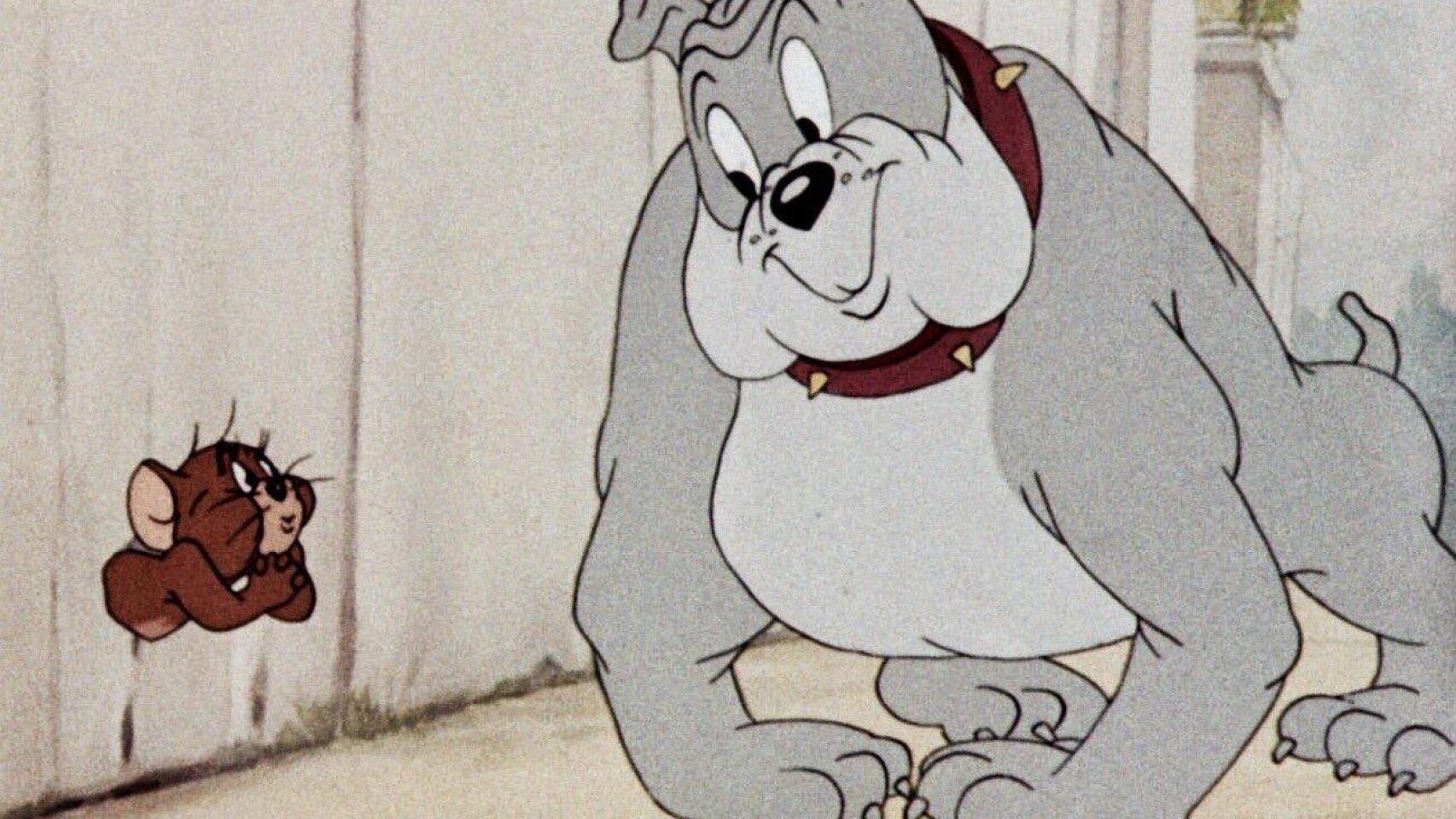 Esta es la raza del 'Ayudante de Santa': el perro rescatado por 'Los ...