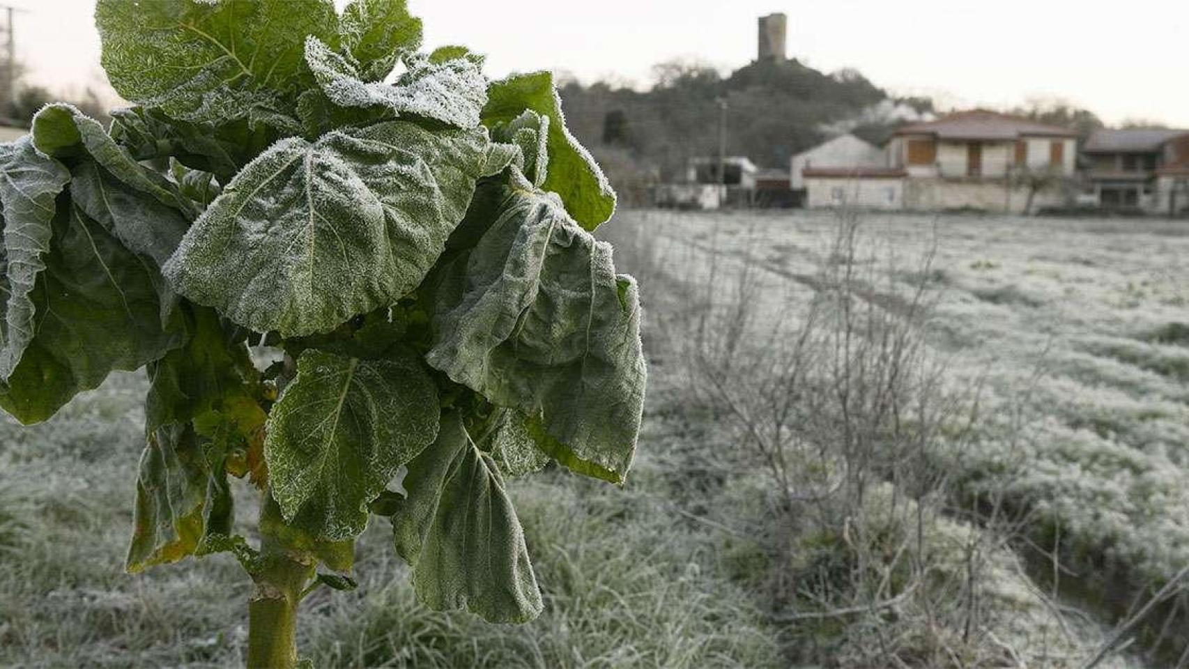 Castilla-La Mancha se despierta helada: los pueblos más fríos que han ...