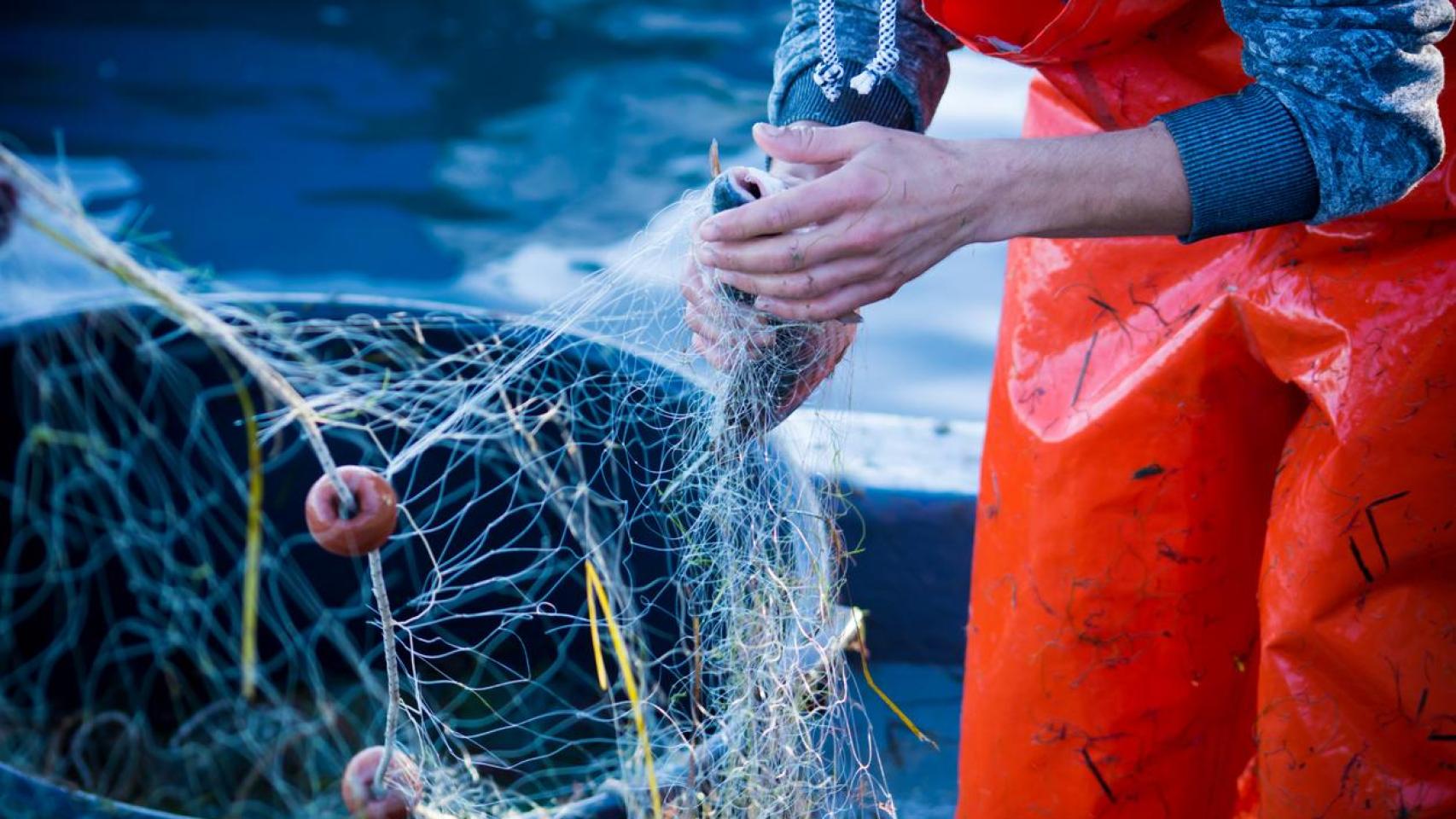 Innovación, tradición y compromiso: la pesca como aliada del medio marino