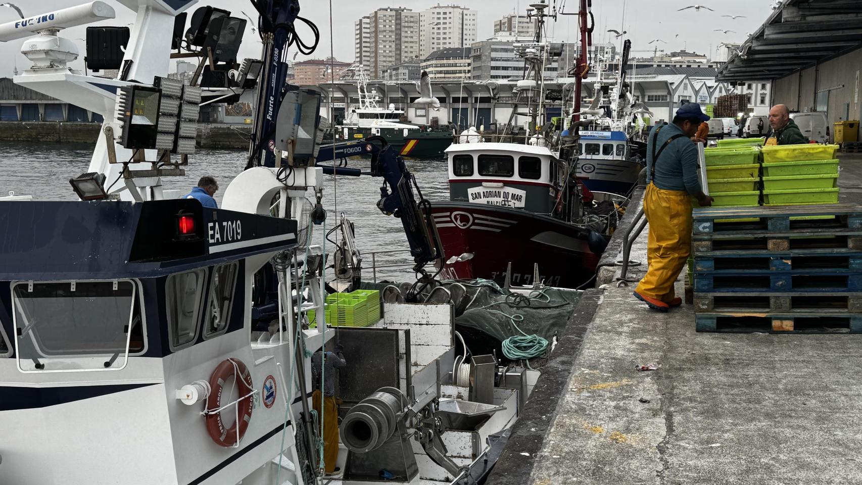 A Coruña culmina un año de pesca "estable" y apunta a mantener su ...